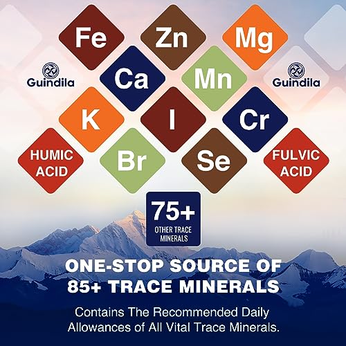 Shilajit for daily vitality boost