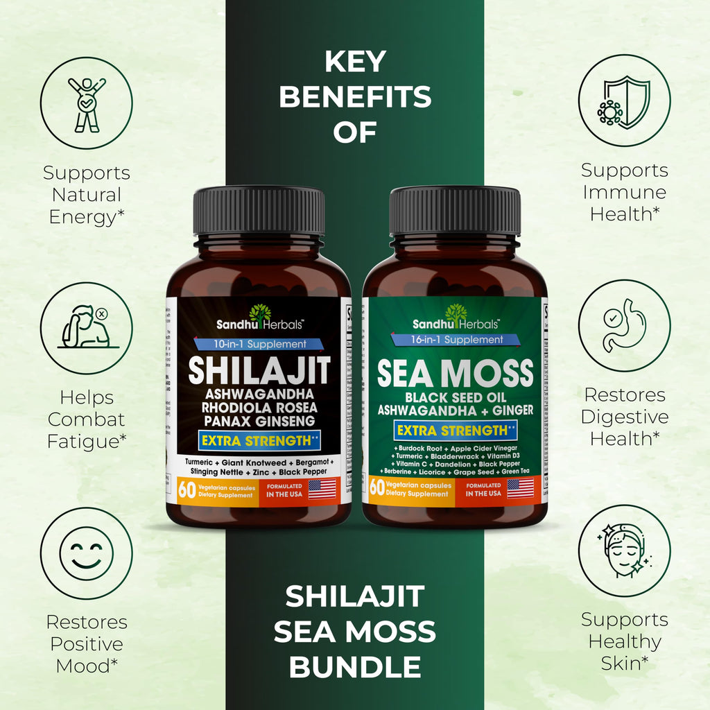 shilajit for detoxification support
