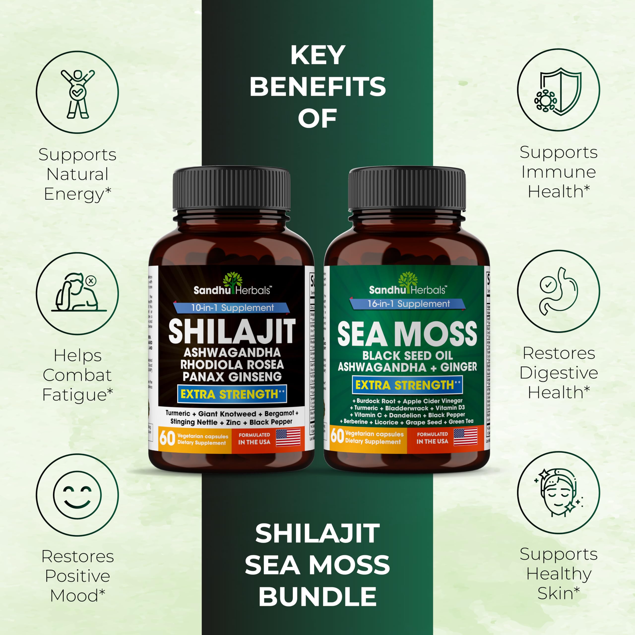 shilajit for detoxification support
