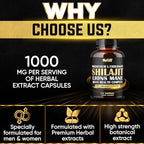 shilajit for energy and vitality