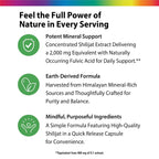 Shilajit for enhanced endurance