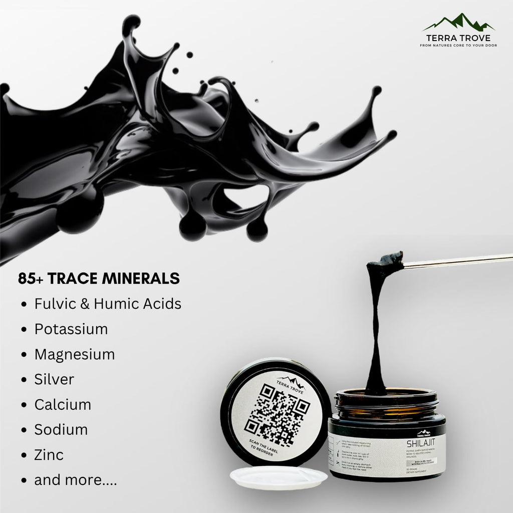 Shilajit for enhanced mineral absorption