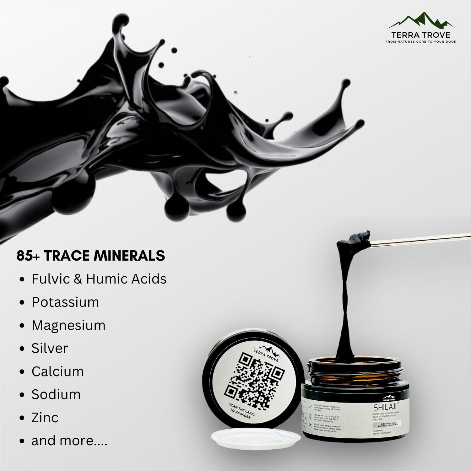 Shilajit for enhanced mineral absorption