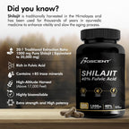 shilajit for enhanced nutrient absorption