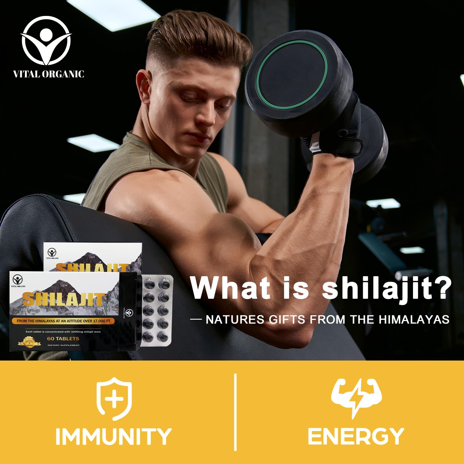 shilajit for enhanced nutrient absorption
