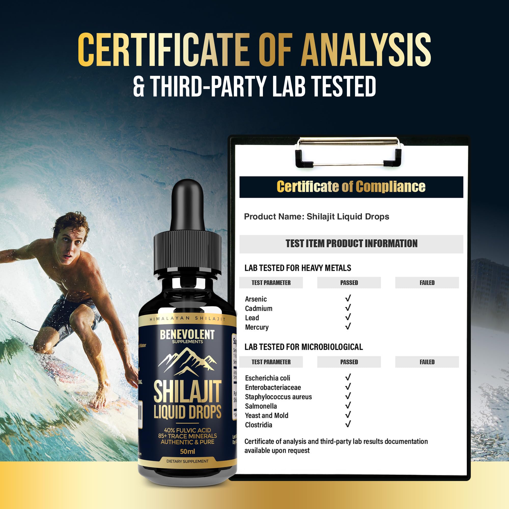 Shilajit for enhanced nutrient absorption