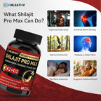 shilajit for enhanced nutrient absorption