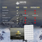 shilajit for enhanced vitality