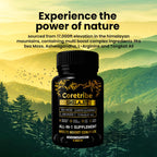 Shilajit for enhanced vitality