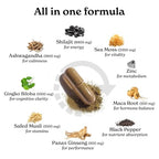 shilajit for enhanced vitality