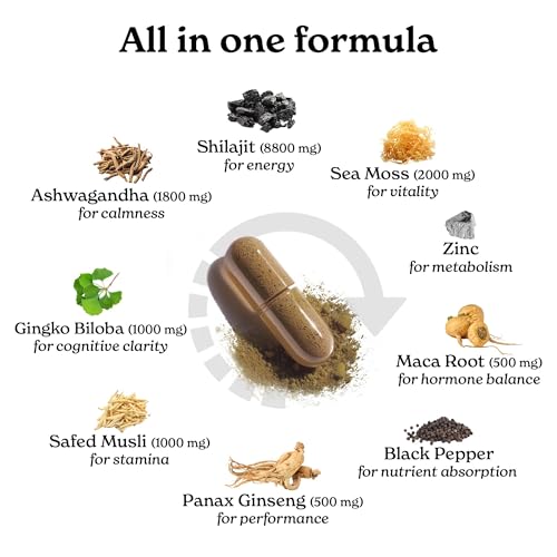 shilajit for enhanced vitality