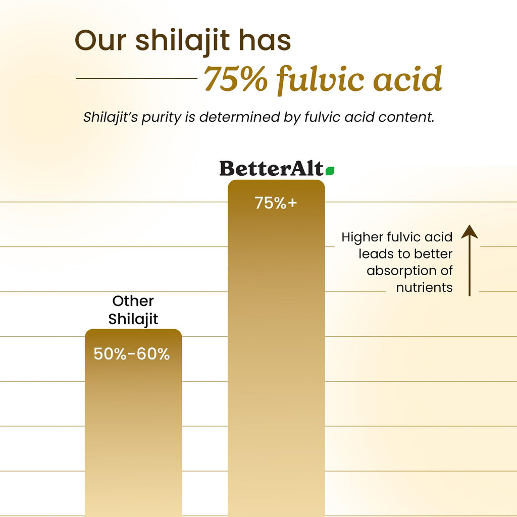 shilajit for enhanced vitality