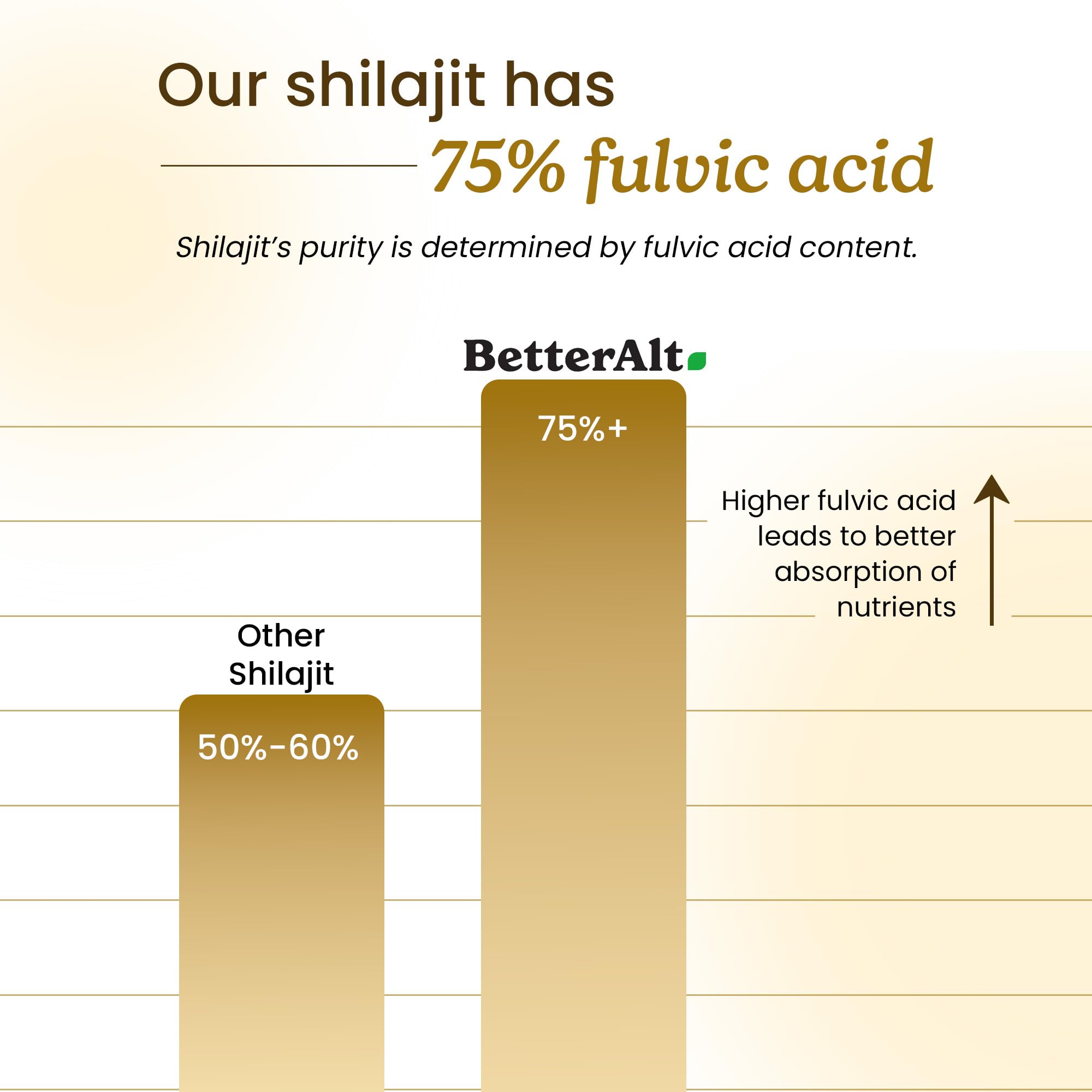 shilajit for enhanced vitality