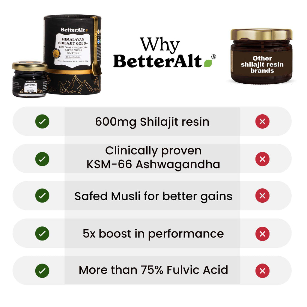 shilajit for immune support