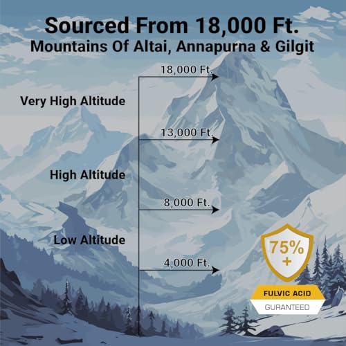 shilajit for immune support