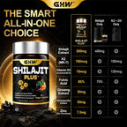 Shilajit for immune support