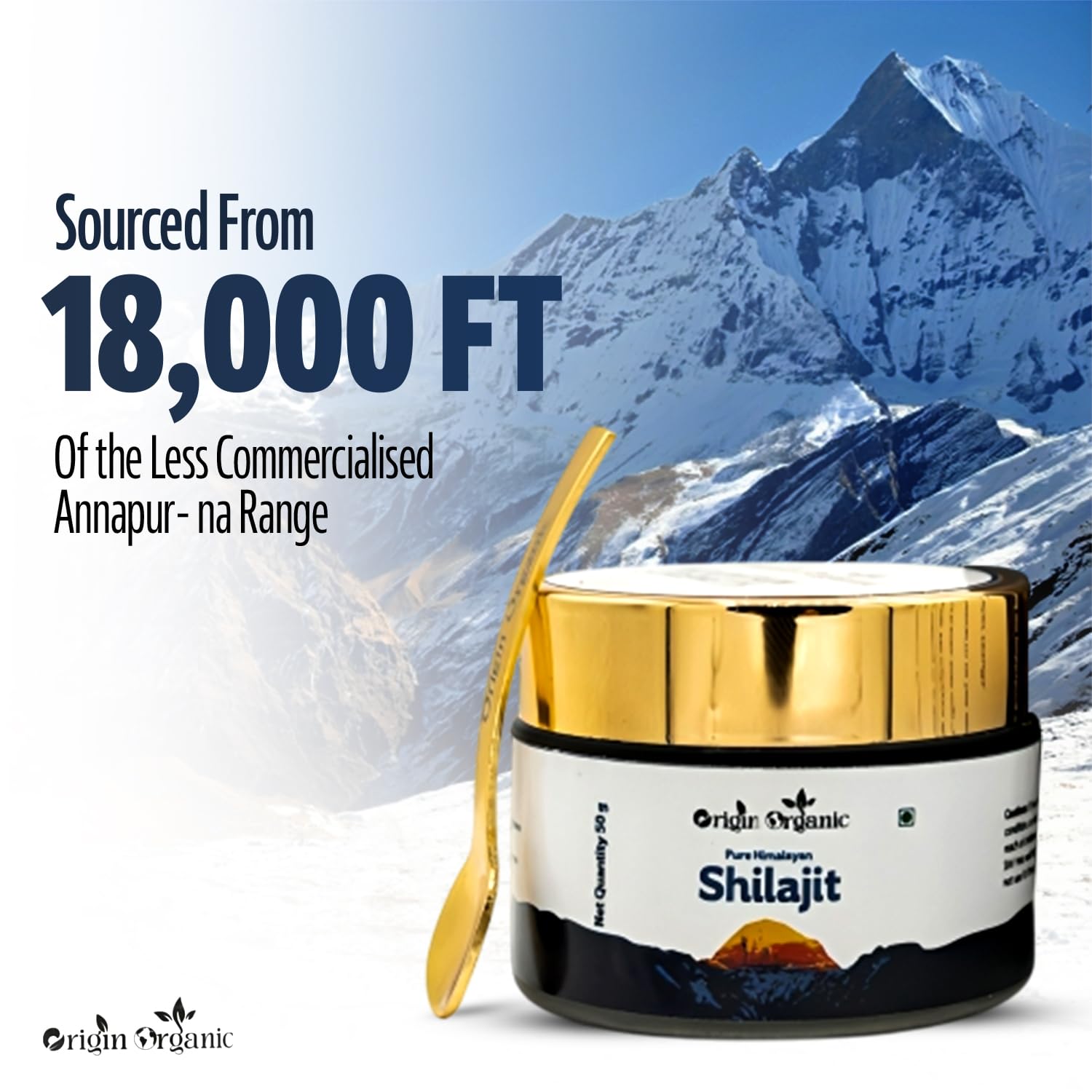 shilajit for immune support