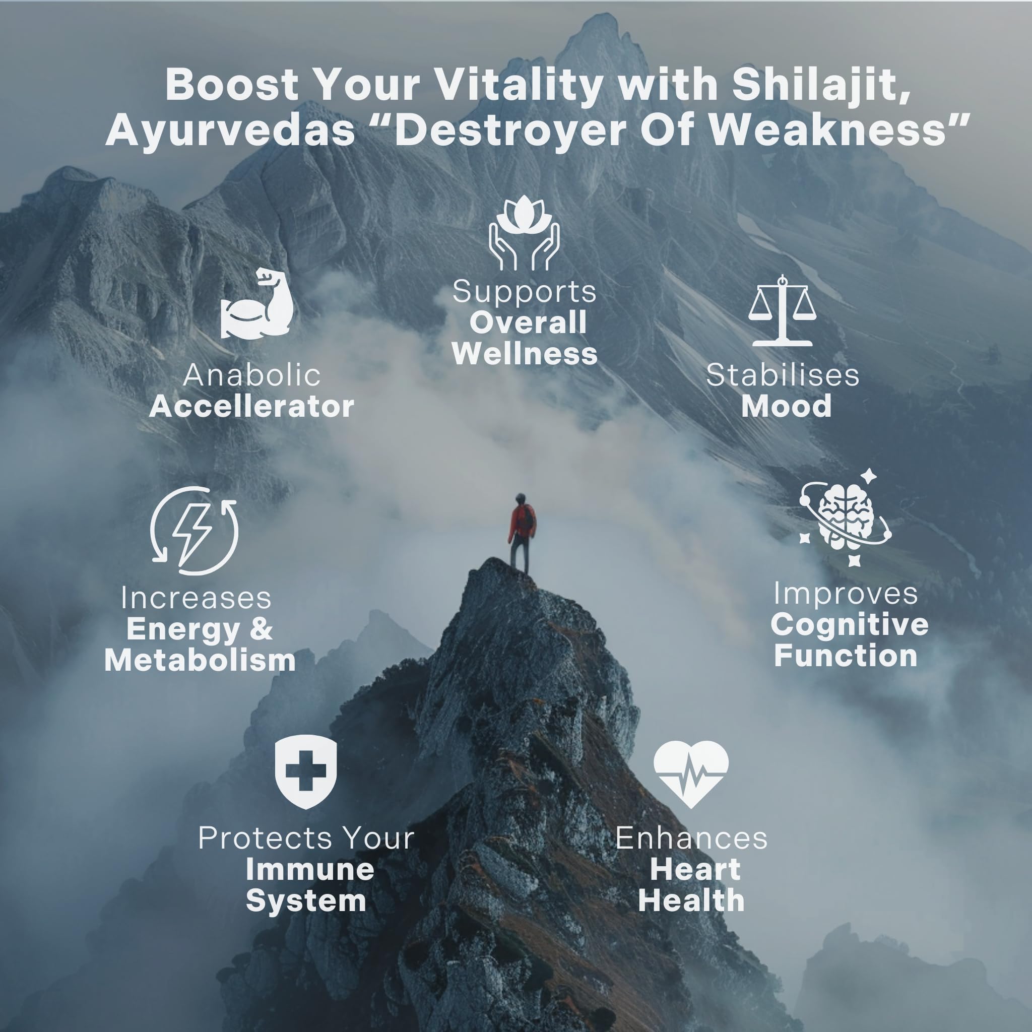 shilajit for immune support