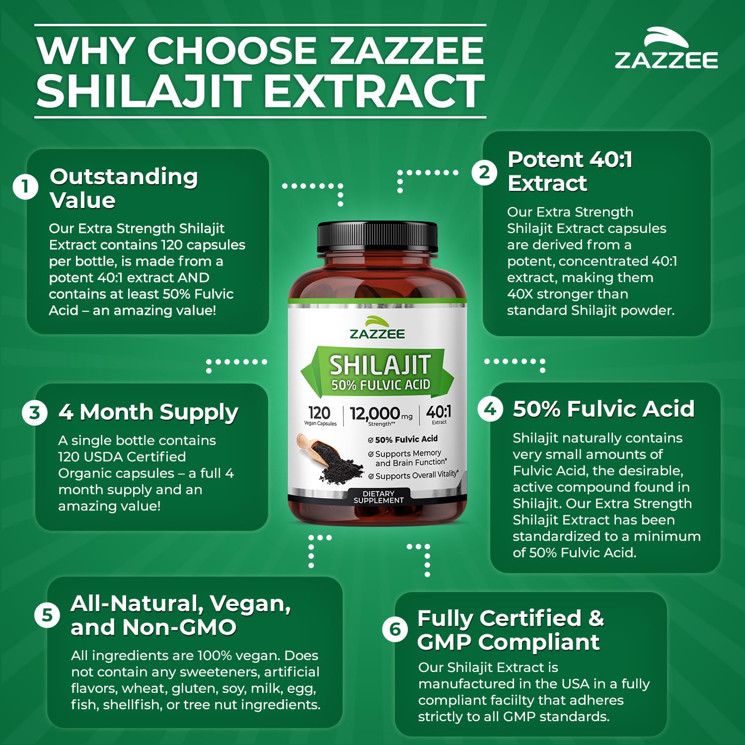 shilajit for immune system support