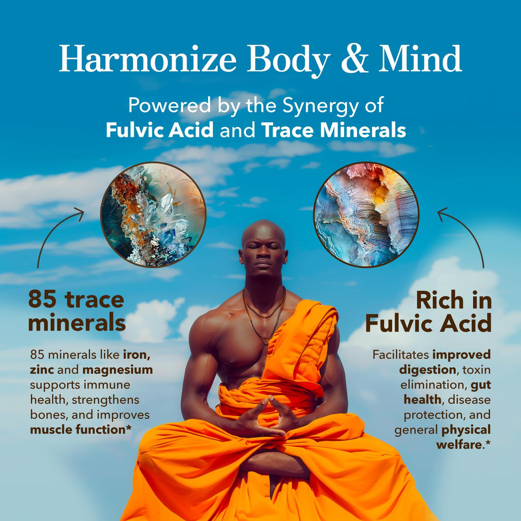 shilajit for immune system support