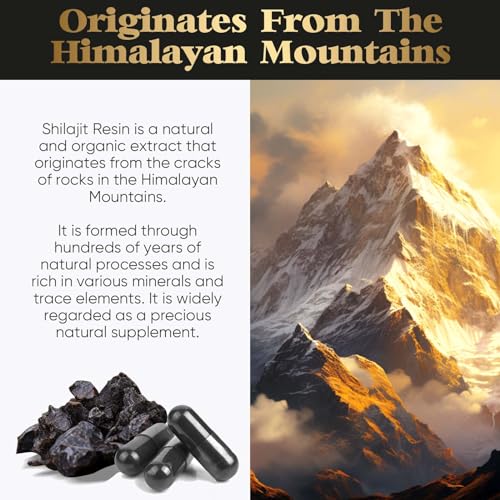 shilajit for immune system support