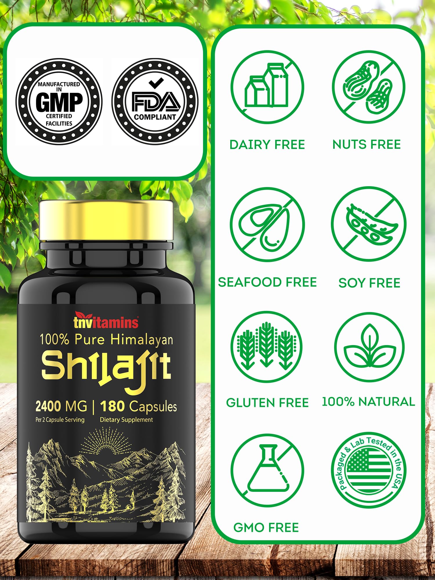 shilajit for immune system support