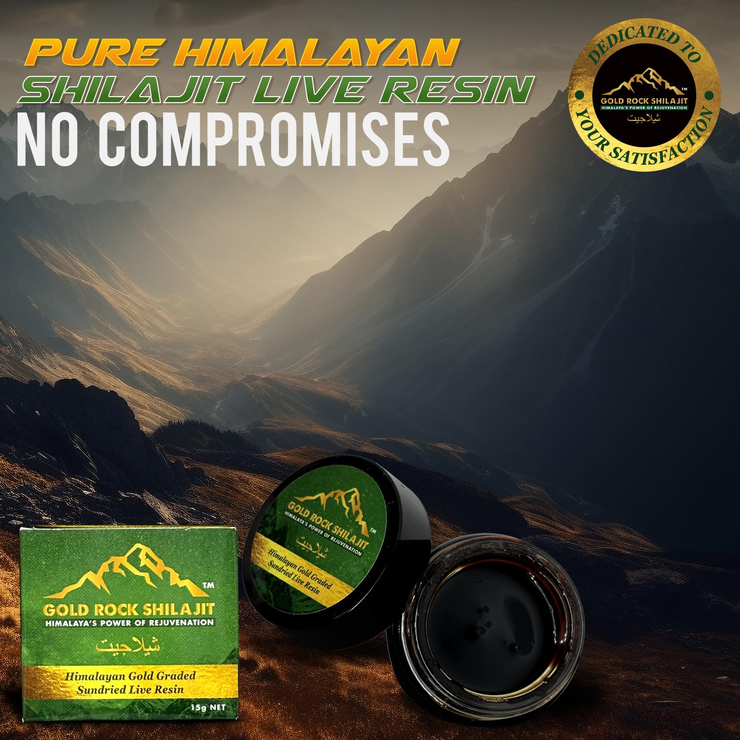 shilajit for immune system support