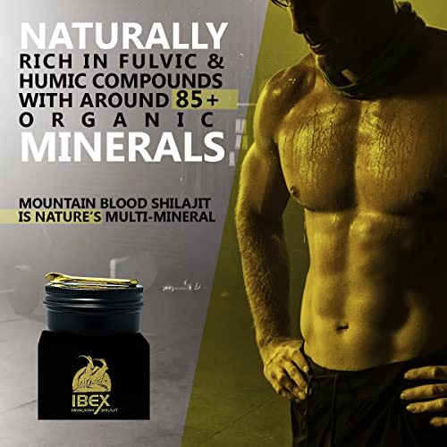 shilajit for improved digestion
