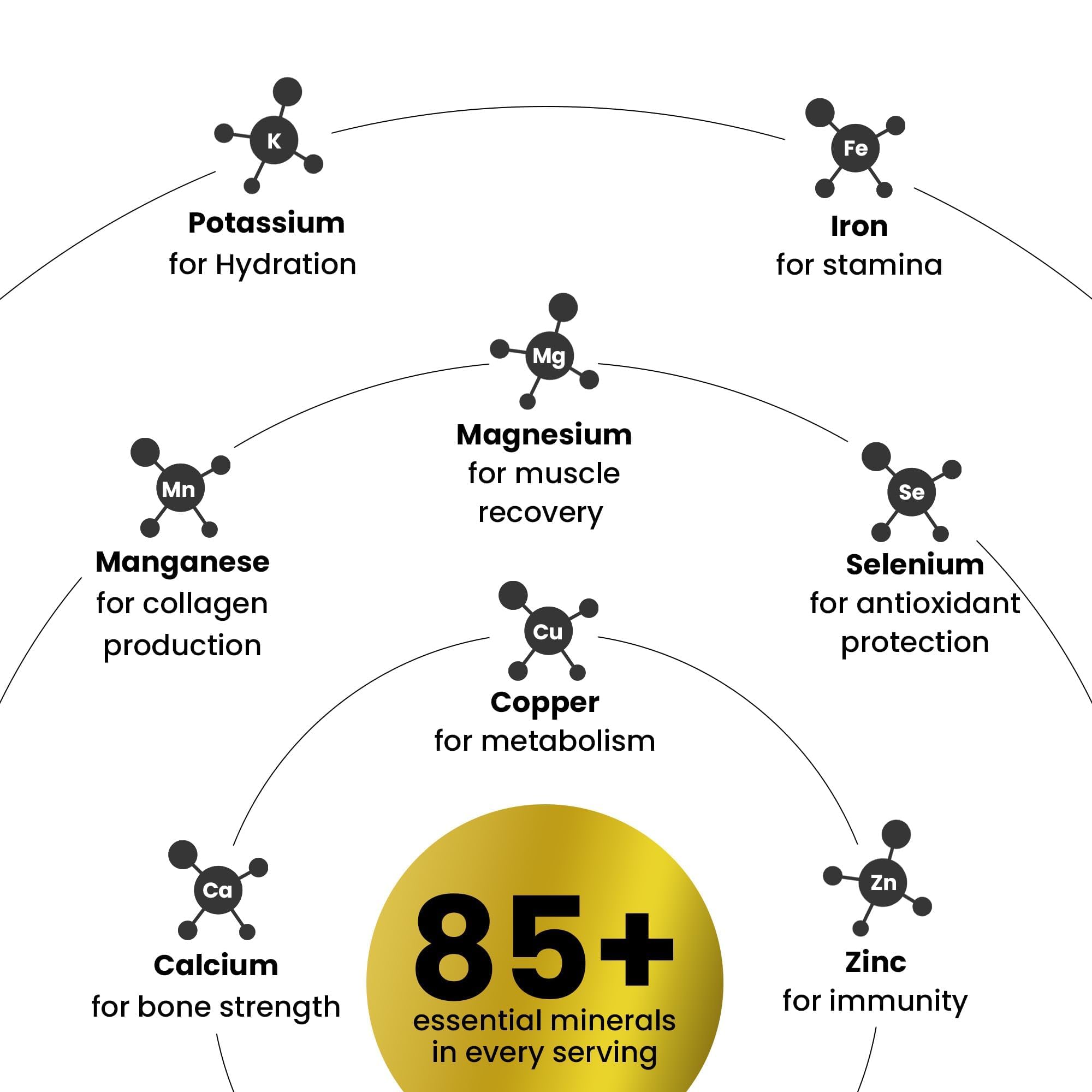 shilajit for improved energy