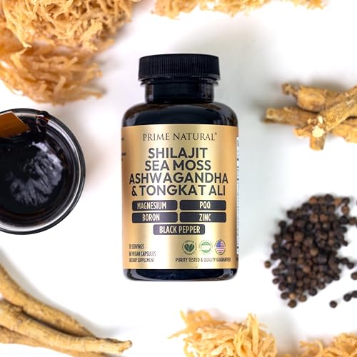 shilajit for improved focus