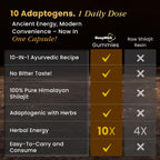 Shilajit for improved focus