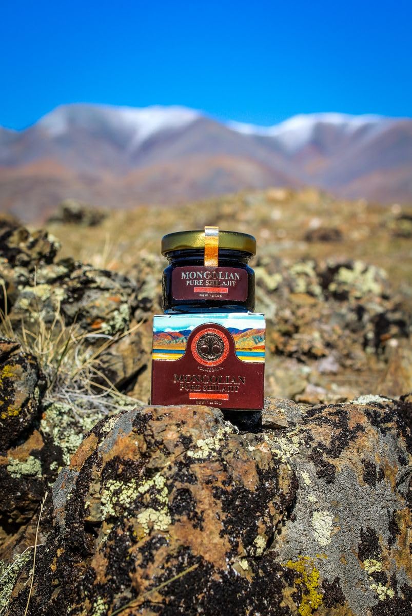 shilajit for improved mental clarity