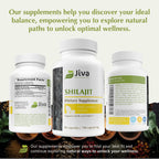 shilajit for improved mental clarity