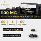 shilajit for improved nutrient absorption