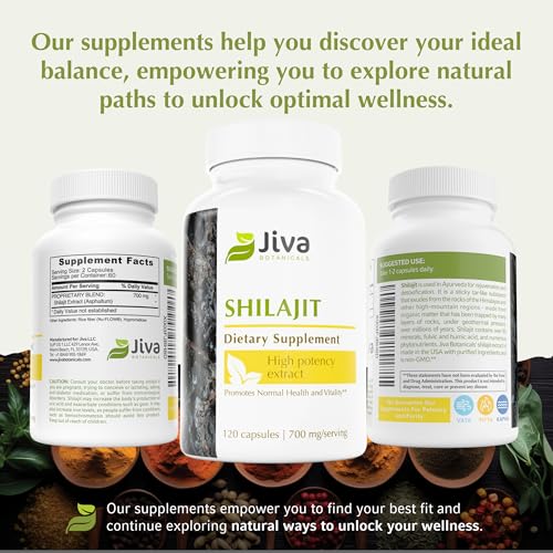 shilajit for improved nutrient absorption