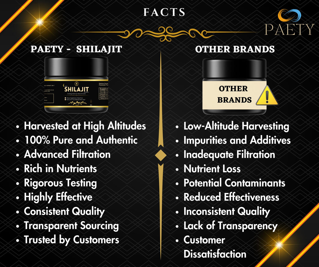 shilajit for improved nutrient absorption