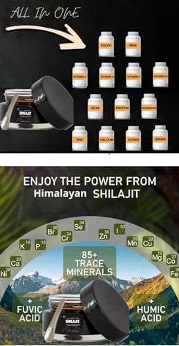 shilajit for improved nutrient absorption