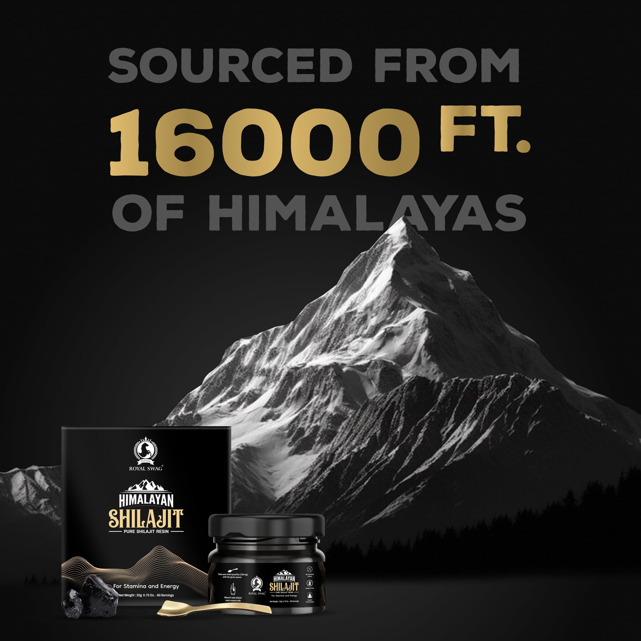 shilajit for improved nutrient absorption