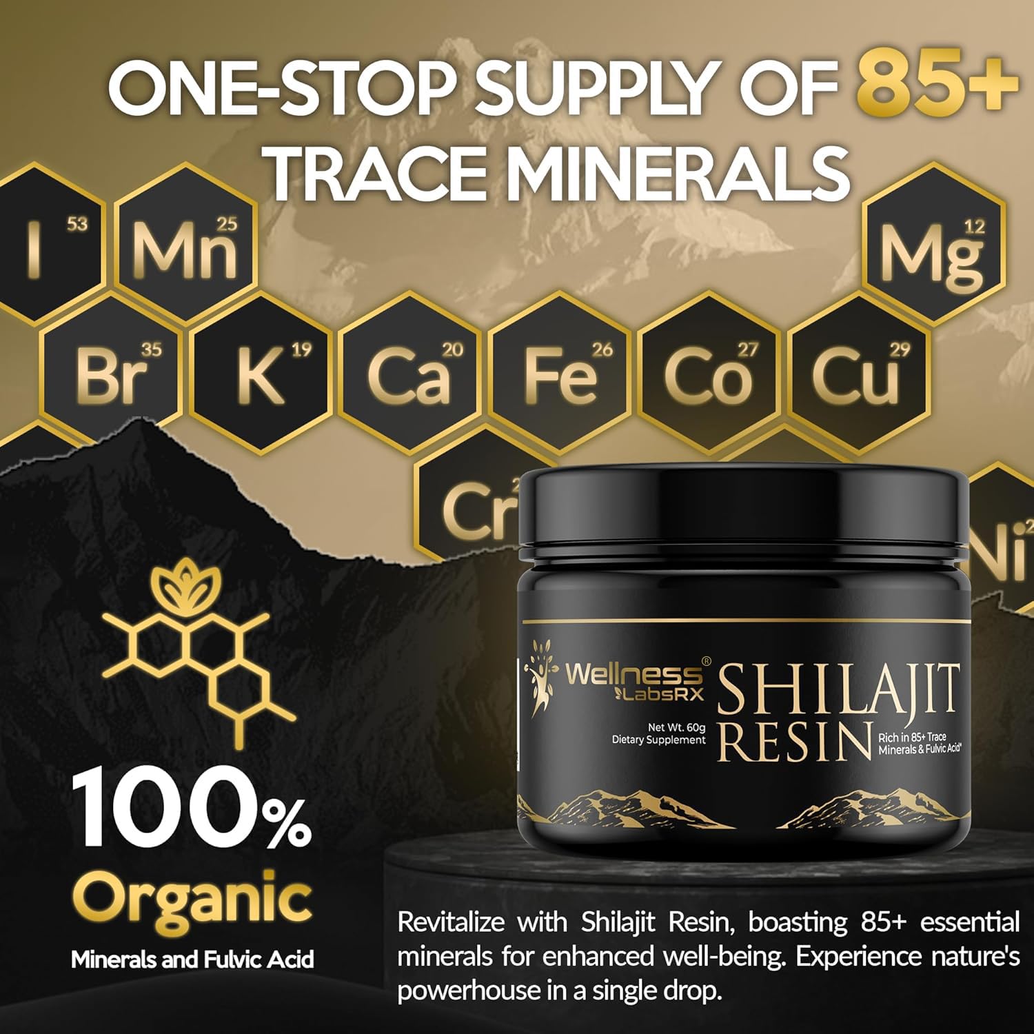 Shilajit for improved nutrient absorption