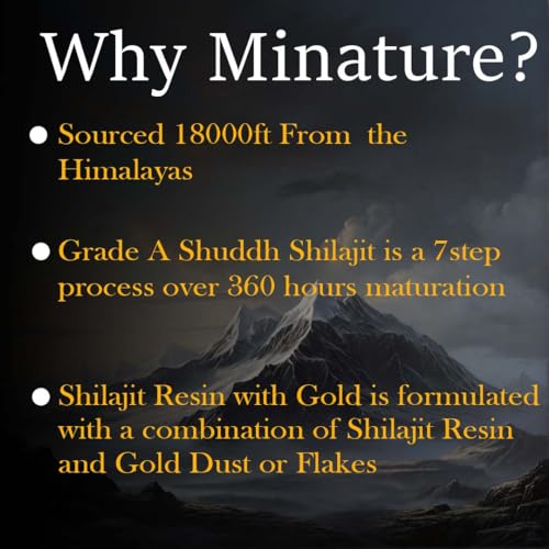 Shilajit for improved nutrient delivery