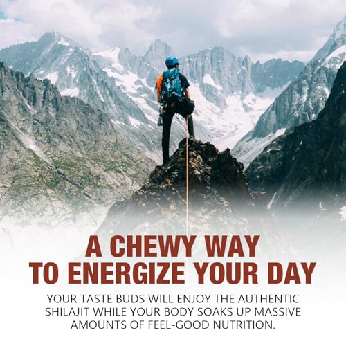 shilajit for improved physical performance