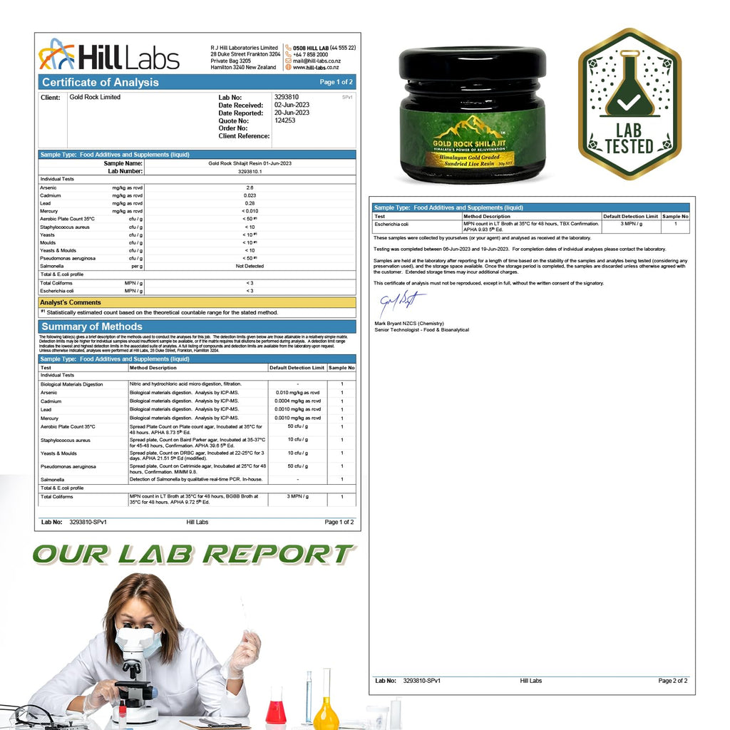 shilajit for improved physical performance