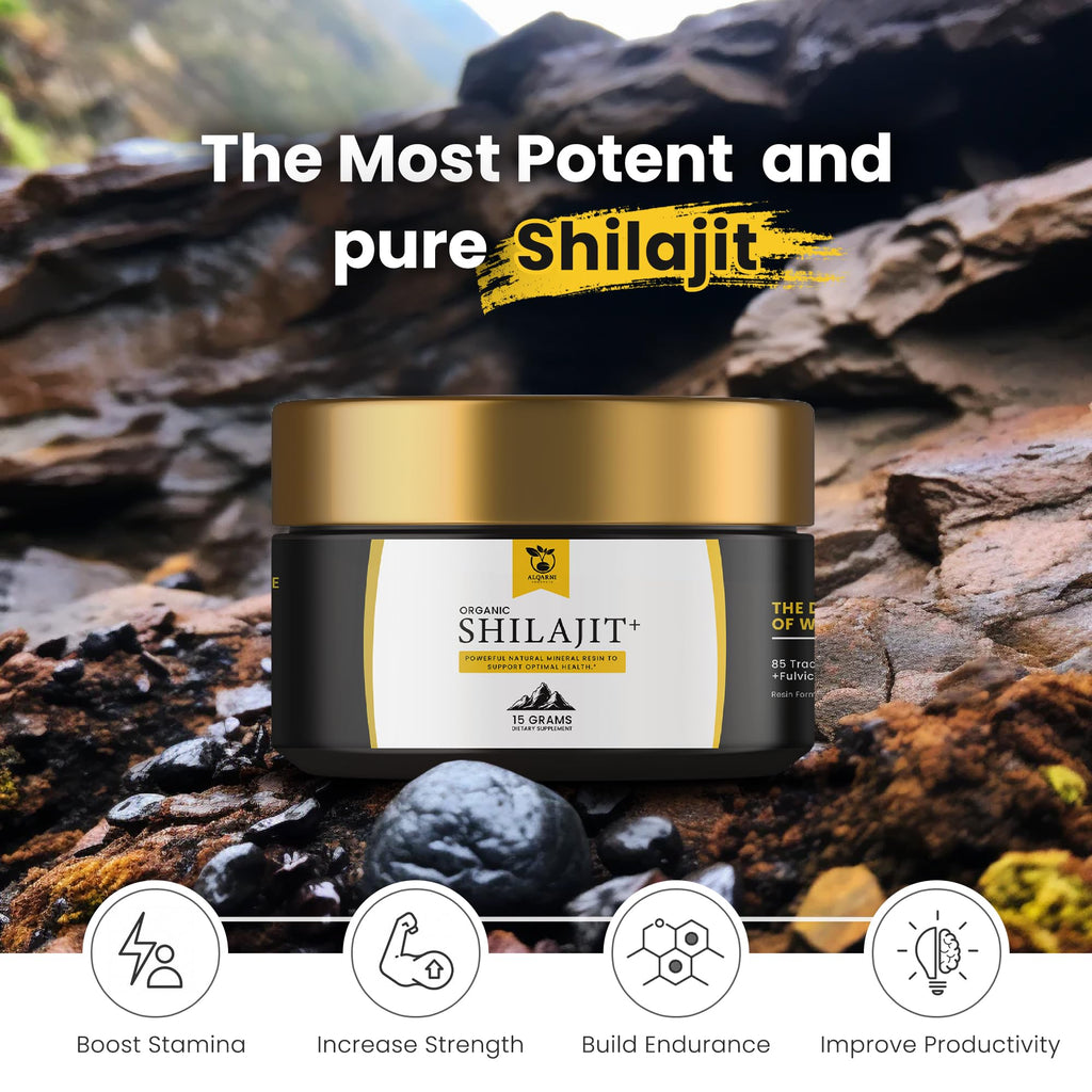 shilajit for improved vitality