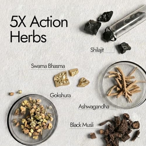 shilajit for men's health and performance