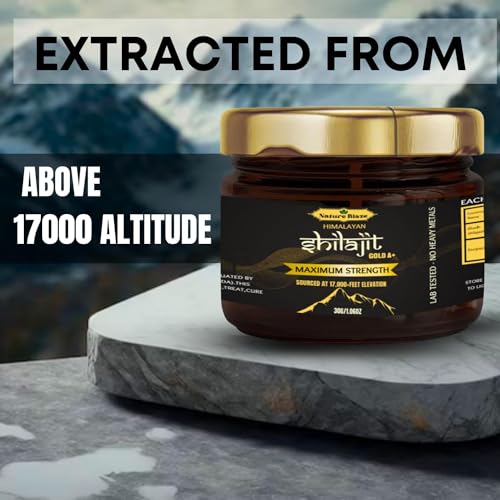 shilajit for natural energy enhancement
