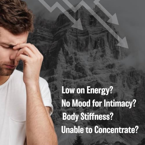 shilajit for natural energy levels