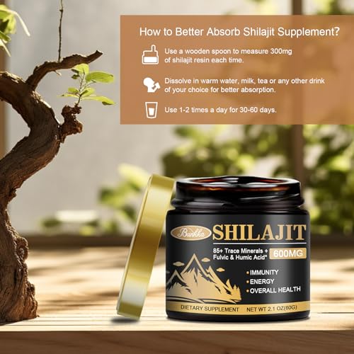 shilajit for natural energy support