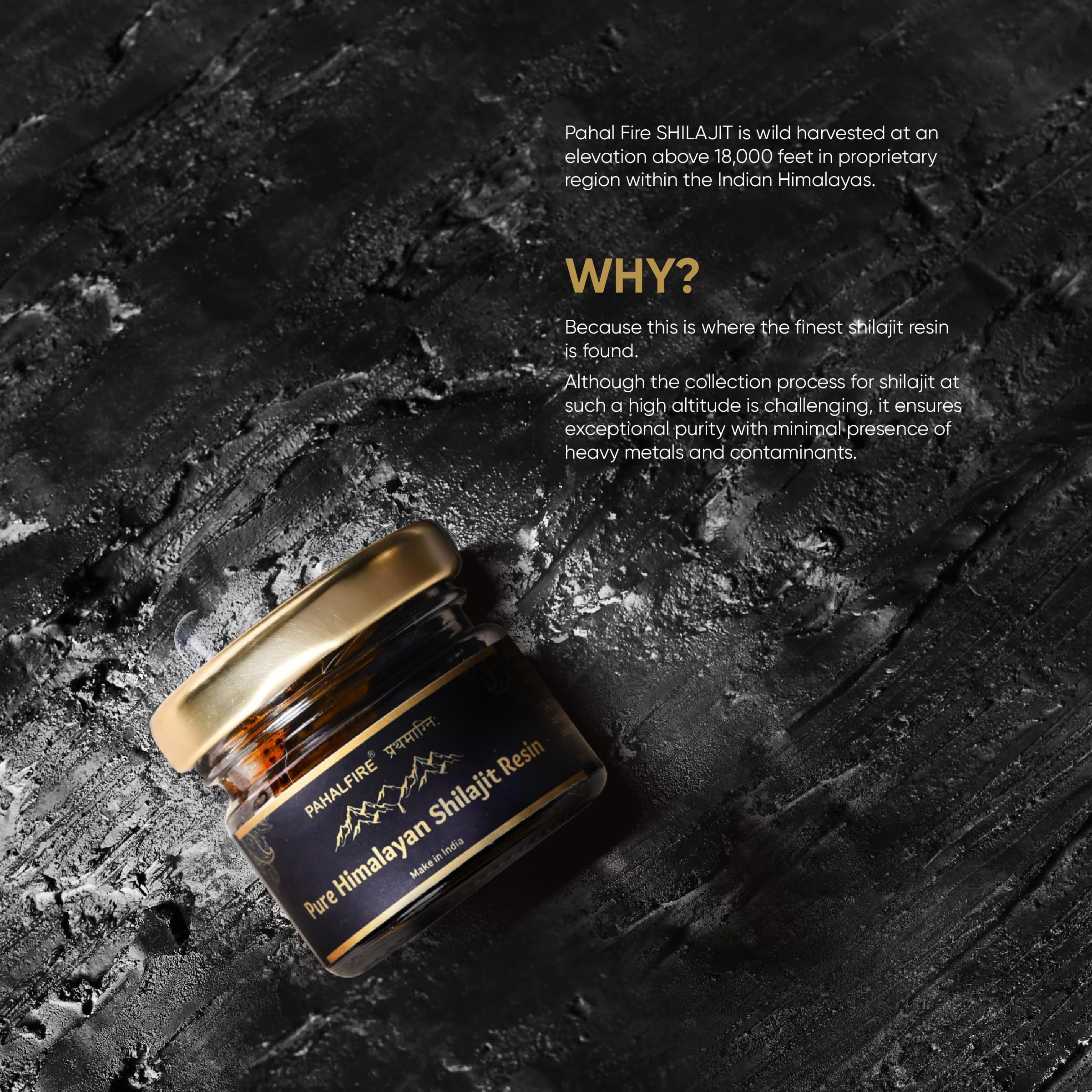 shilajit for natural vitality boost