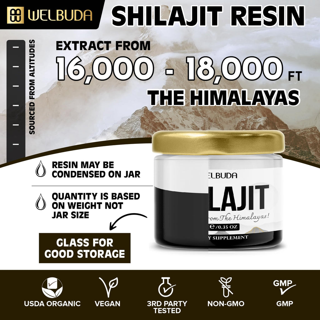 Shilajit for optimal brain function