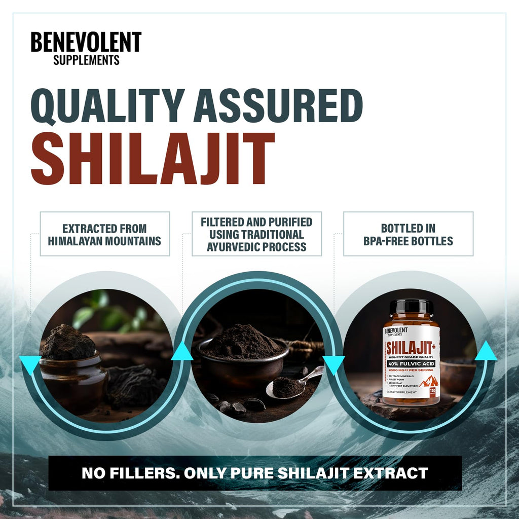 shilajit for optimal health